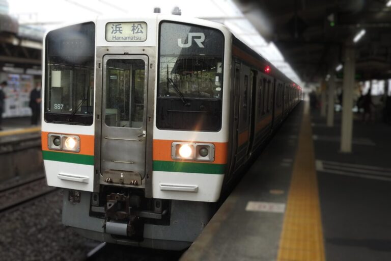 今年度が最後！315系に置き換えられる静岡211系を見ていく。 | FreedomTrain