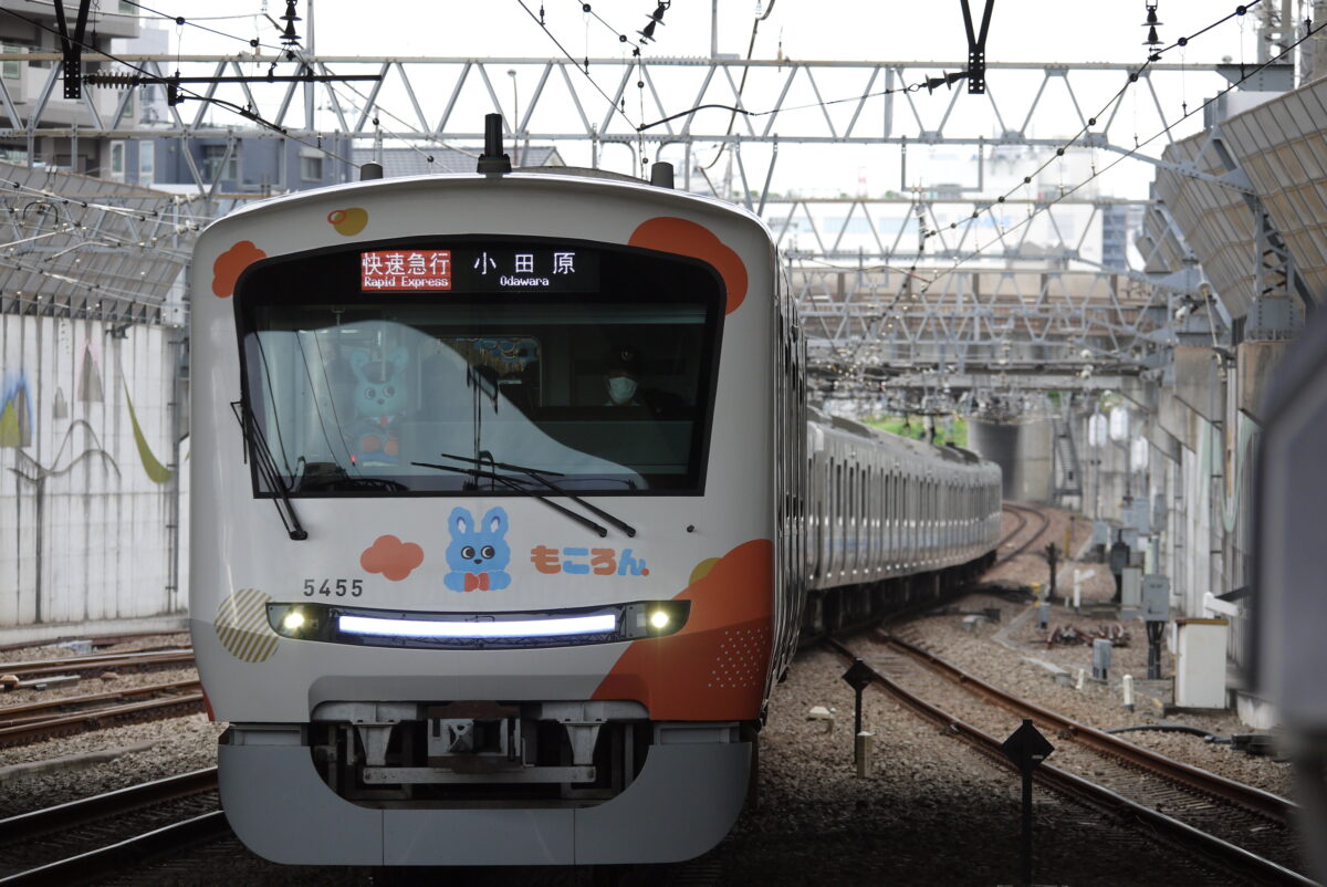 我が愛車！小田急5000形5055F「初代もころん号」を撮る！ | FreedomTrain