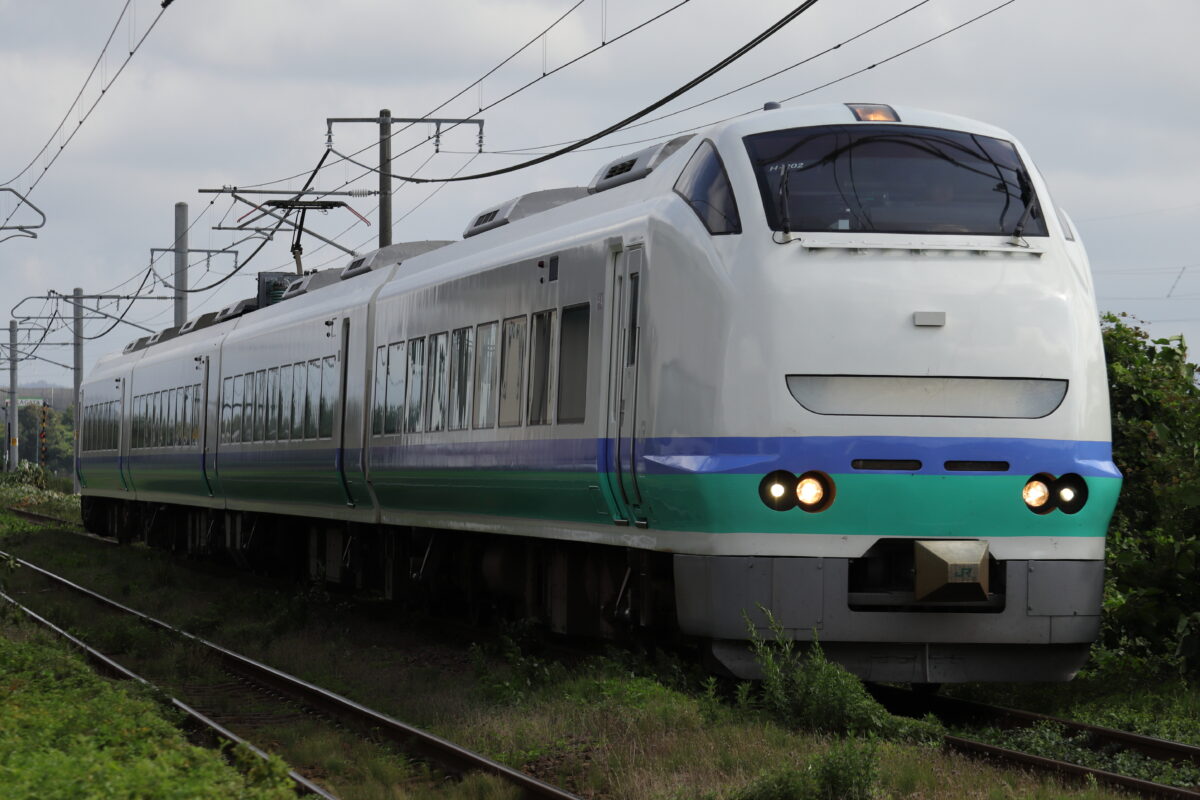 【全部で〇〇色！？】E653系の多すぎる色の種類をまとめてみた | FreedomTrain
