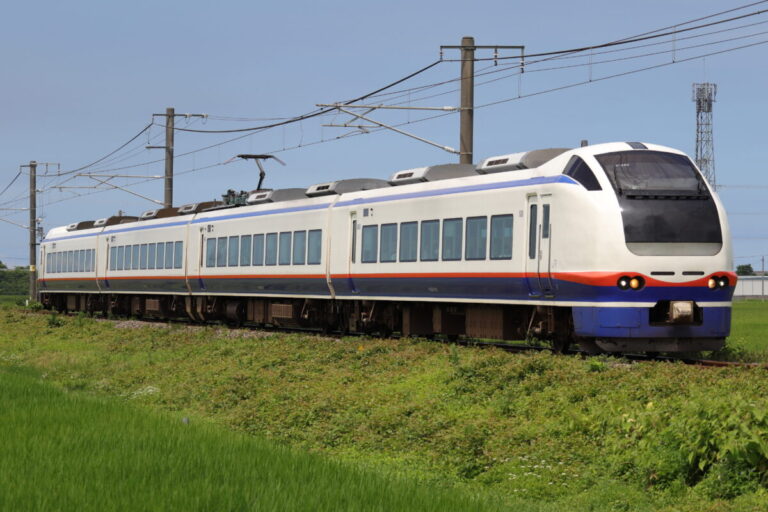 【全部で〇〇色！？】E653系の多すぎる色の種類をまとめてみた | FreedomTrain