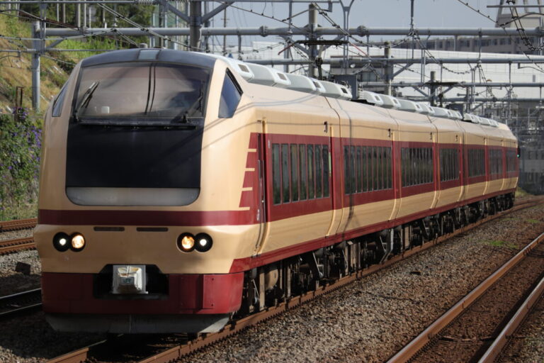 【全部で〇〇色！？】E653系の多すぎる色の種類をまとめてみた | FreedomTrain