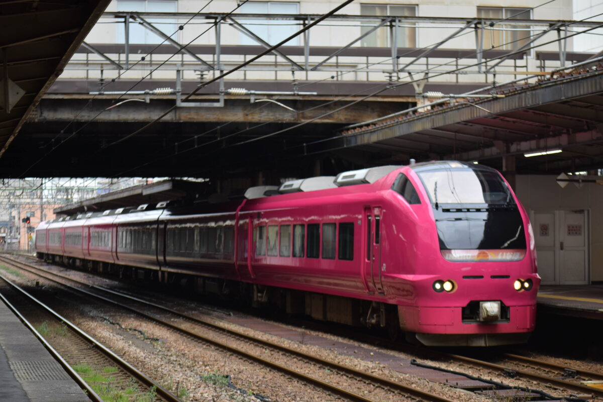 【全部で〇〇色！？】E653系の多すぎる色の種類をまとめてみた | FreedomTrain