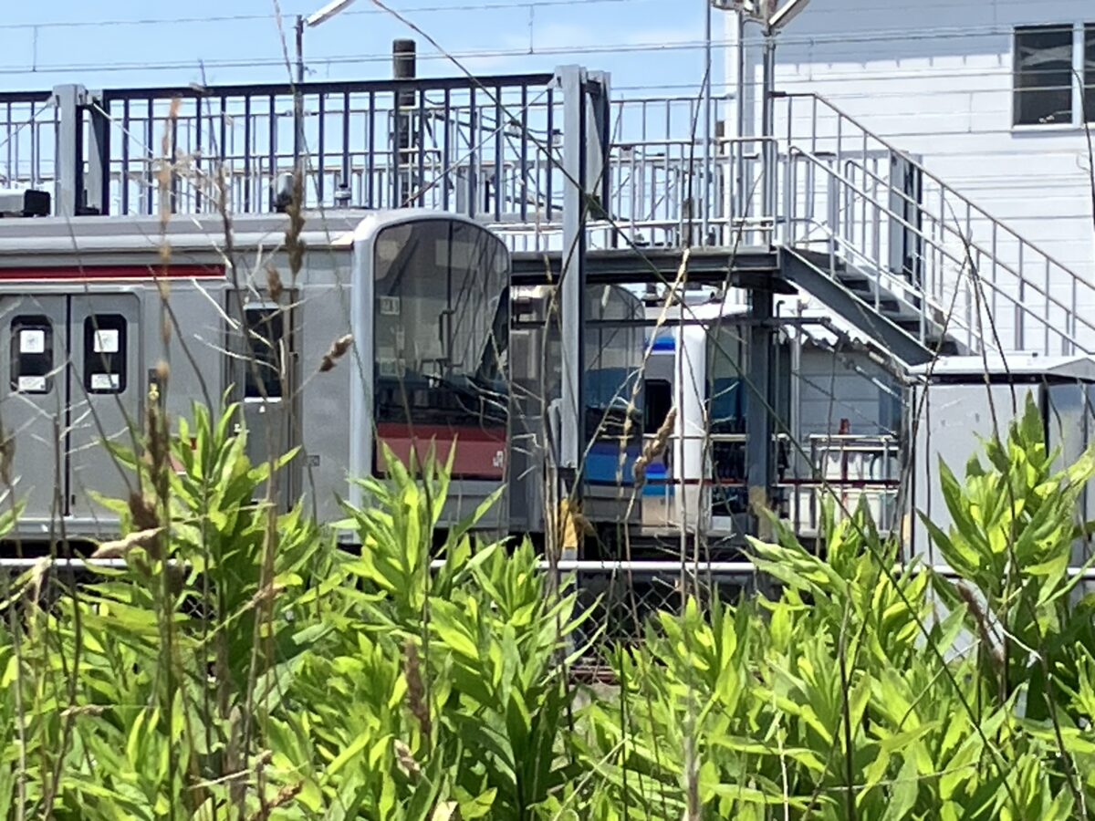 【待望の新型車両】仙石線E131系800番台を見ていく | FreedomTrain