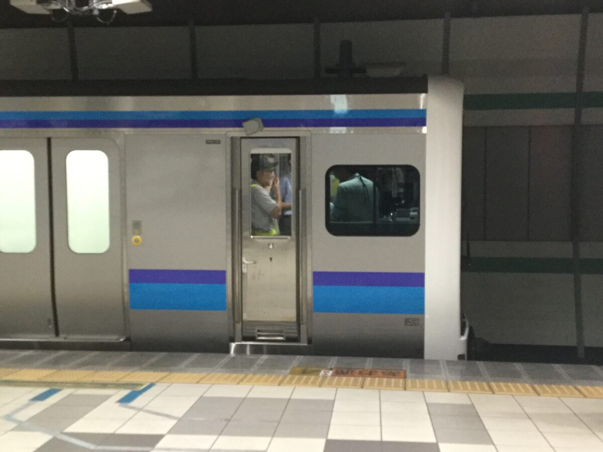 【観察してきた】E131系800番台、ついに仙石線を走る！ | FreedomTrain